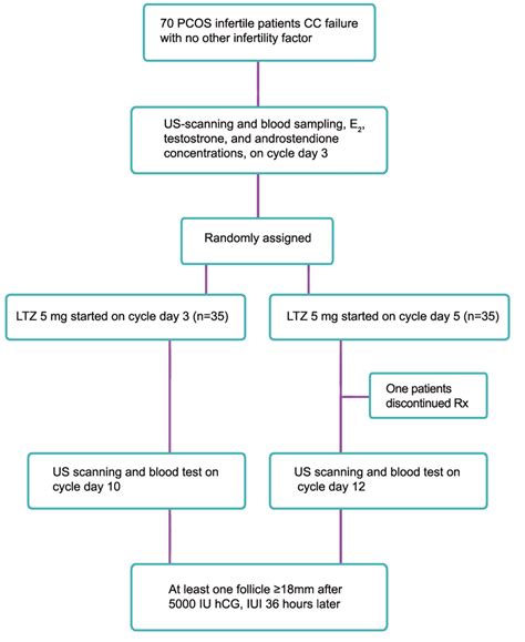 Pcos Polycystic Ovary Syndrome Cc Clomiphene Citrate E 2
