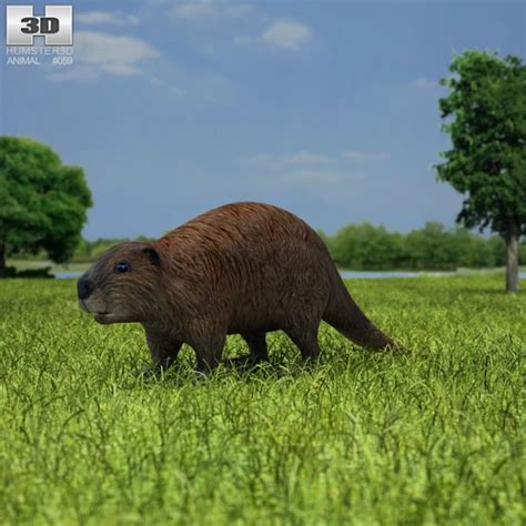 Beaver Modelos 3d Descargar