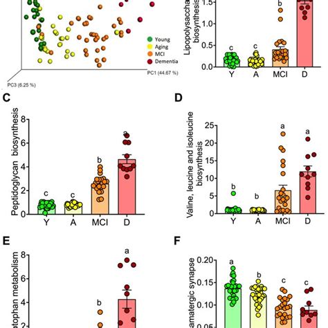 Predictive Functional Profiling Of Gut Microbiota Picrust In Young