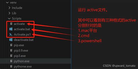 Vscode 中配置 Python 虚拟环境vscodelazytomato 腾讯云开发者社区