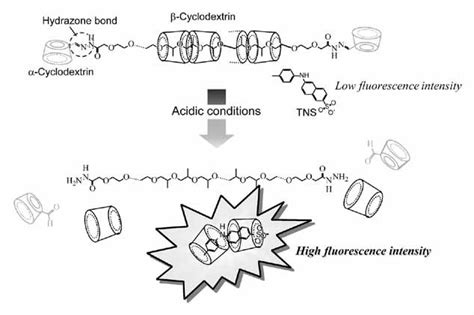 Preparation Of α‐cyclodextrin‐terminated Polyrotaxane Consisting Of β