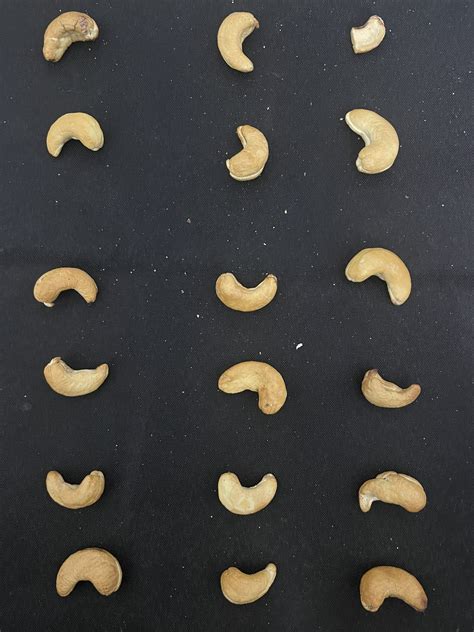 Phenika Object Detection Dataset By Yolov7