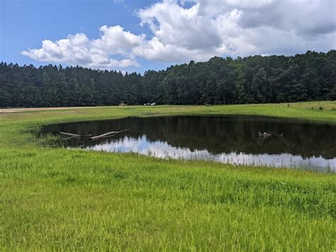 Restoring Wetlands At Cedar Point Wildlife Management Area Alliance