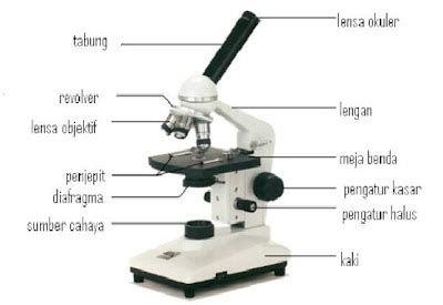 Bagian Bagian Mikroskop Dan Cara Menggunakannya Ipa Biologi