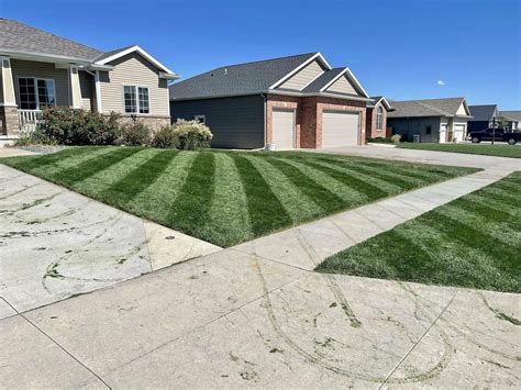 Dithiopyr Vs Prodiamine Whats The Difference Grow Your Yard