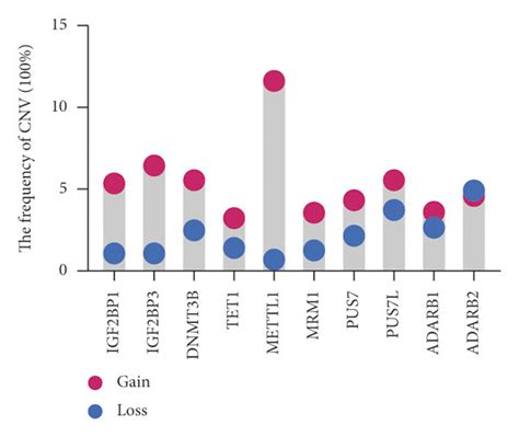 The Mutation And Dysregulation Of Eight Types Of Rna Modification Download Scientific Diagram