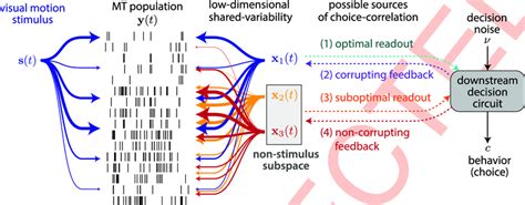 Four Possible Sources Of Neural Choice Correlation 1 Dimensional Download Scientific Diagram
