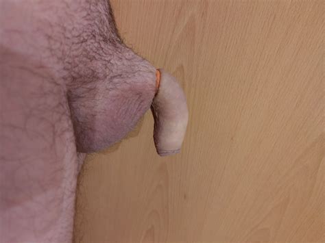 Flaccid Cock Banded Pics Xhamster