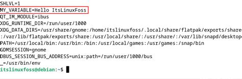 How To Delete Exported Environment Variable In Linux Shell Its Linux Foss