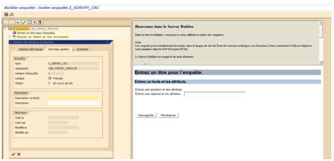 Standard Customizing Of Survey Crm Survey Suite Sap Community