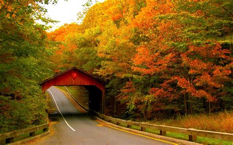 Autumn Serenity Covered Bridge Over Winding Road In Hd 1680x1050
