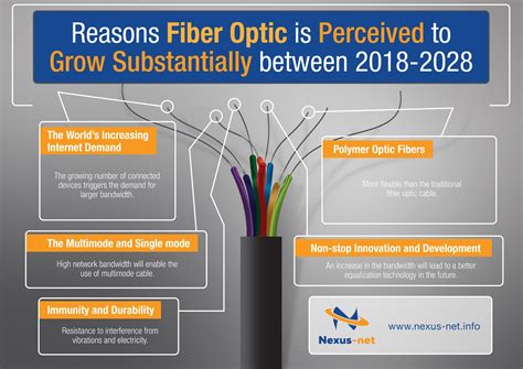 Nexus Net Here Are The Tell Tale Signs Of The Fiber