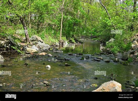 Beautiful Creek Small River Flowing Stream With Reflections Trees Rocks