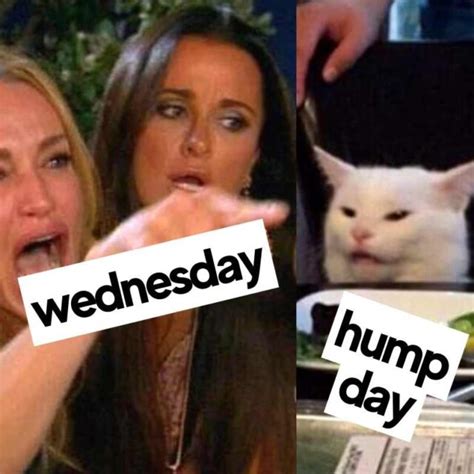 50 Funny Wednesday Memes And Images You Must Share Midweek