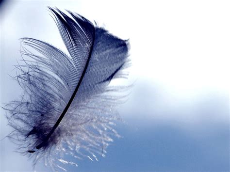 Light As A Feather Wallpapers Top Free Light As A Feather Backgrounds Wallpaperaccess