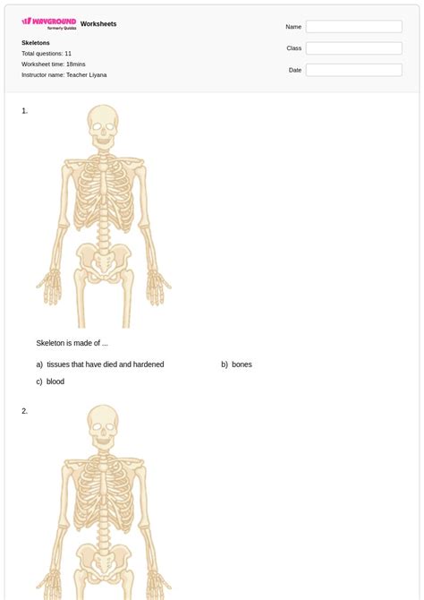 50 Skeleton Worksheets For Class 5 On Wayground Free And Printable