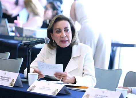 Senadora Guadalupe Murguía Gutiérrez Durante La Discusión De La