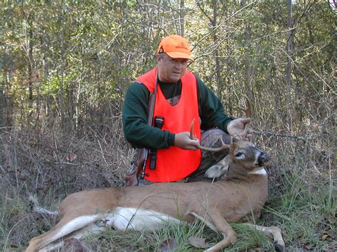 Wanna Step Outside Cwd Continues Its Migration Across North Carolina Clemmonscourier