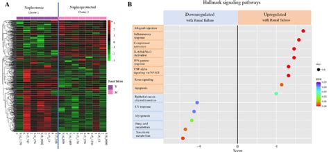 Wts Data For The Nst Group A Genomic Heatmap Showing The Difference In Download Scientific