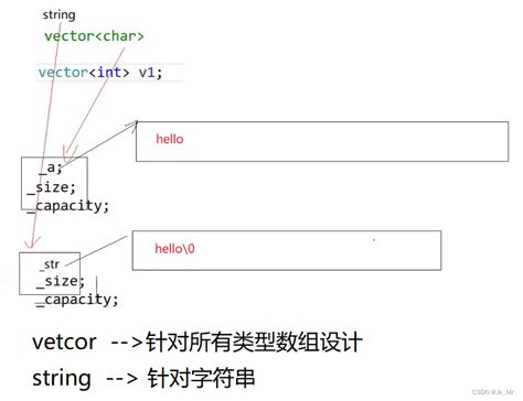 c vector的简单模拟实现 csdn博客