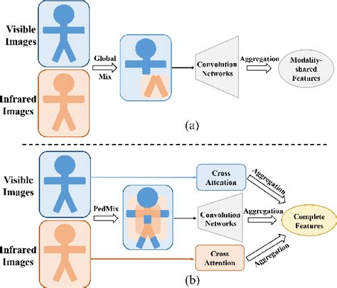 Figure 1 From Transferring Modality Aware Pedestrian Attentive Learning