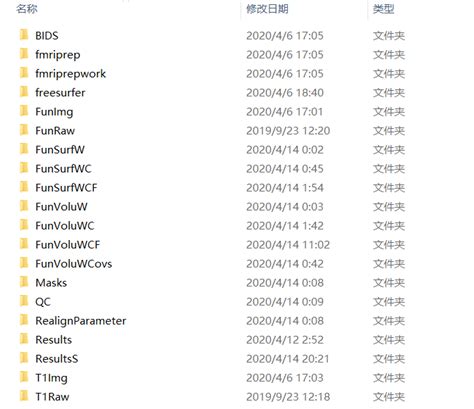 Dpabisurf报错信息 The R Fmri Network