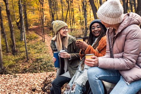 쓰러진 트렁크에 앉아 차를 마시며 숲에서 하이킹을 한 후 세 명의 여성 친구가 쉬고 있다 가을에 대한 스톡 사진 및 기타 이미지 가을 우정 20 29세 Istock