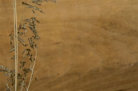 프레 젠 테이 션 디자인 및 헤드 라인에 대 한 배경 색상의 다양 한 간단 하 고 자연 질감된 이미지입니다 0명에 대한 스톡