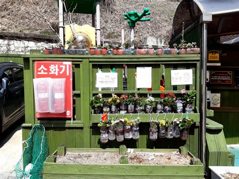 식목일 행사 강남구립 일원어린이집