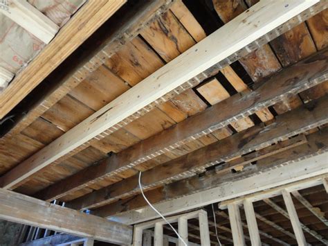 The Life Of Cayce And Avi And Belle Babeing A Joist