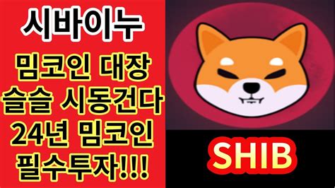 시바이누 코인대장 밈코인대폭등예정 24년 대떡상 밈코인 투자해야 합니다 Youtube