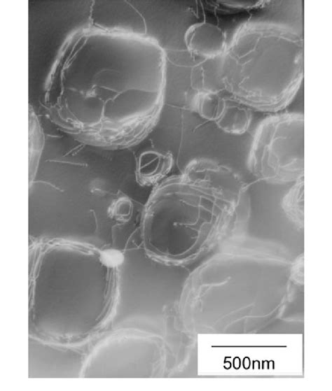 Tem Micrographs Of Stal 15 After Tmf Testing In Microstructure 2 With Download Scientific