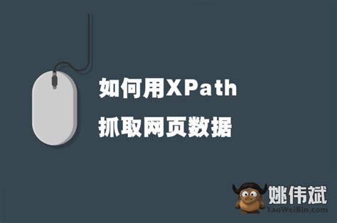 Python 和 Selenium 中的无头浏览器 姚伟斌
