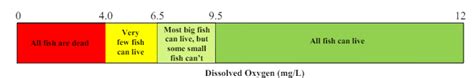 Effects Of Low Dissolved Oxygen In Water Alpha Measure