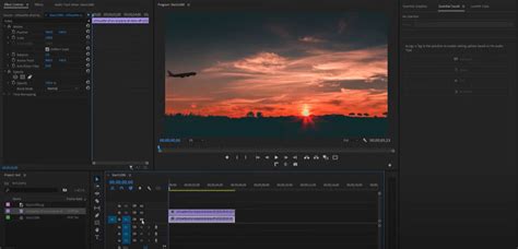 Full Guide To Remove Text From Video Premiere Pro