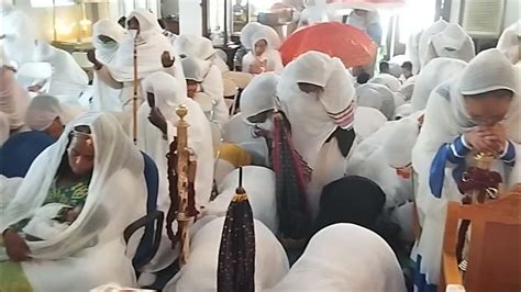 እንኳን ለኪዳነምህረት አመታዊ ክብረ በዓል በሰላም አደረሳችሁ አደረሰን አሜን አቴንስ ግሪክሶል ፎቶ Youtube