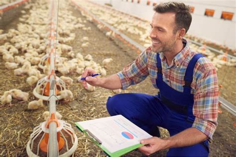 Uk Government Confirms 45000 Seasonal Worker Visas For 2025 Eta For