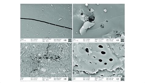 Sem Images Showing Pore Characteristics In Coal Samples Download Scientific Diagram