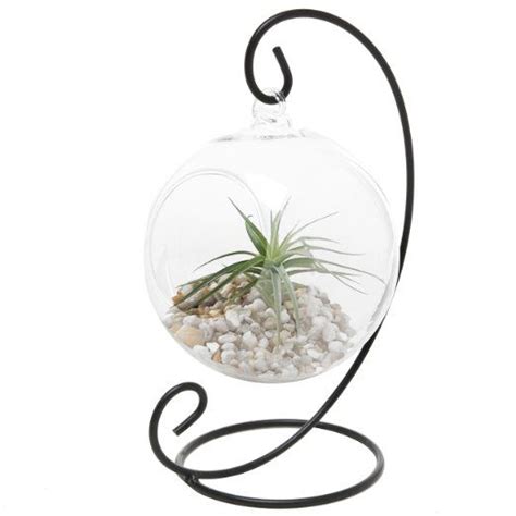 Elegant Glass Hanging Planter Terrarium Globe With Stand