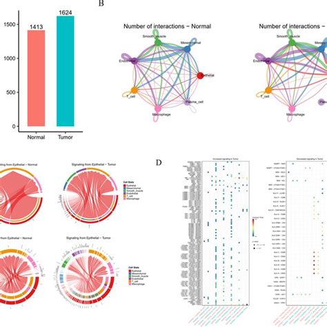 Ab The Number And Intensity Of Signaling Pathways Between All