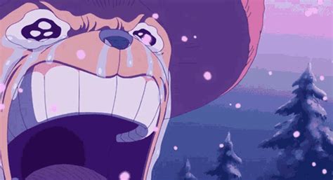 Chopper Crying One Piece