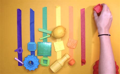 Fun With Sorting And Classifying Categorizing Household Objects