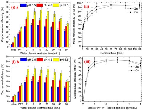 Polyamide Ro Membrane Modification Via Plasma Induced Surface