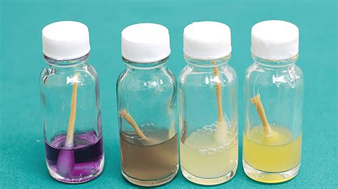 How Do You Identify Coliform Bacteria At Jeffrey Gavin Blog