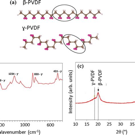 A Molecular Structures Of Pvdf Both β And γ Phases Black Ovals Show