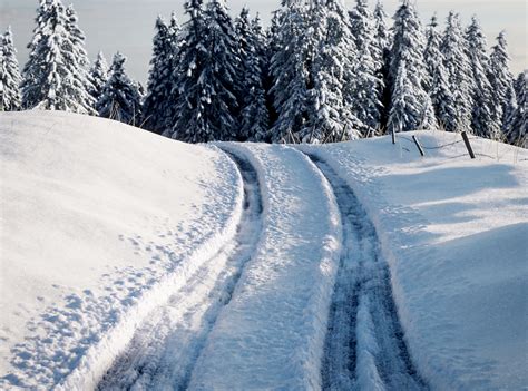 Snow Scene Finished Projects Blender Artists Community