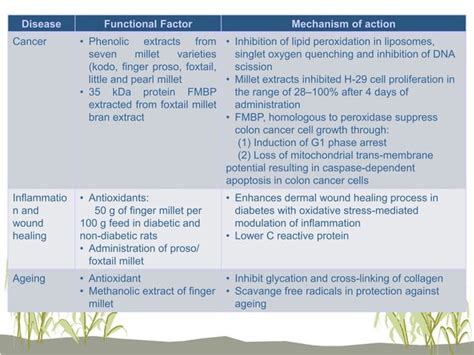 status scope and challenges in millet processing pptx commodities