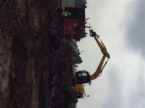 Tree Grinding To Reduce Waste And C02 Best Practice Hub