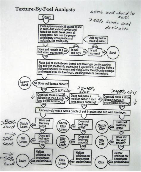 How To Determine Soil Texture Cheat Sheet Positively Sustainable