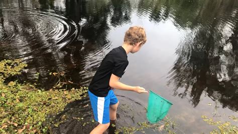 Netting My Own Bait Youtube